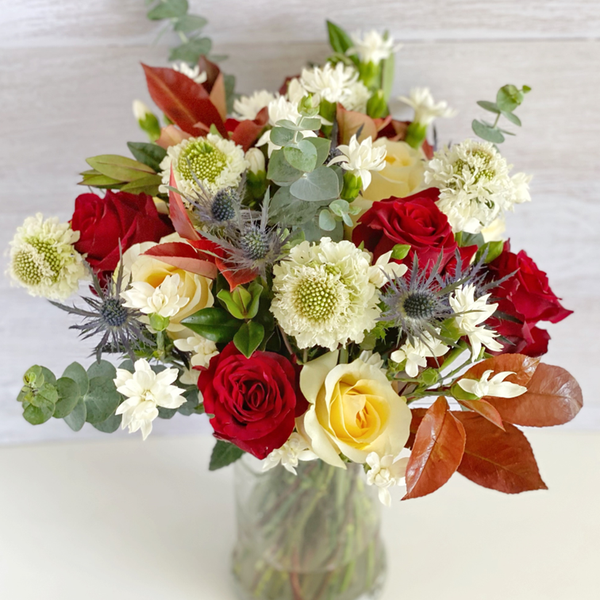 Premium Ecuadorian Roses Delivered Across the USA | RosaExpress