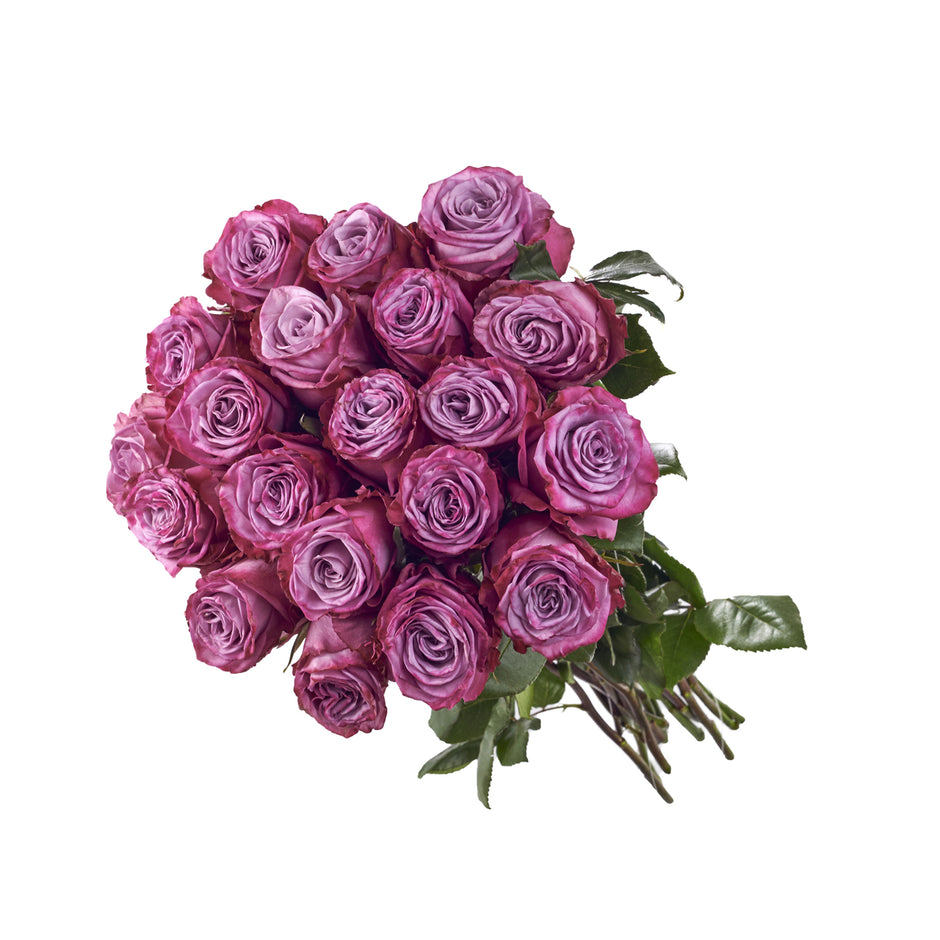 ROSAEXPRESS: Send roses for anniversaries, birthdays or just because ...